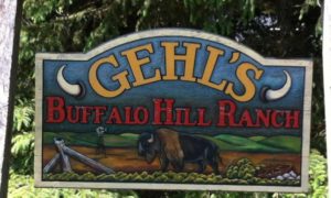 Price List – Buffalo Hill Meats